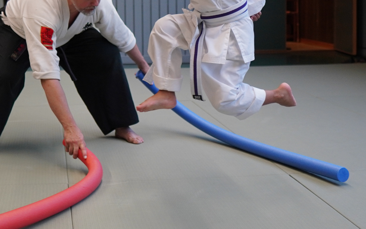 Prova på Taido - Stockholms stad