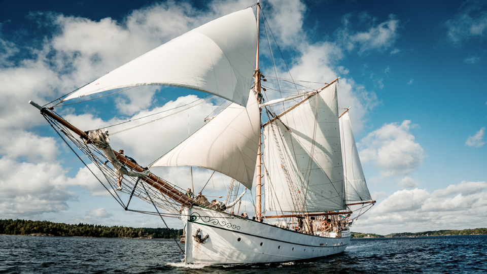 Shamrock seglarkollo - Stockholms stad